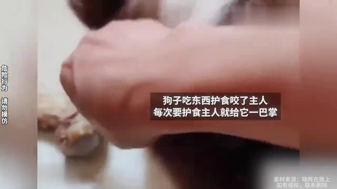 狗子吃东西护食咬了主人,每次要护食主人就给它一巴掌