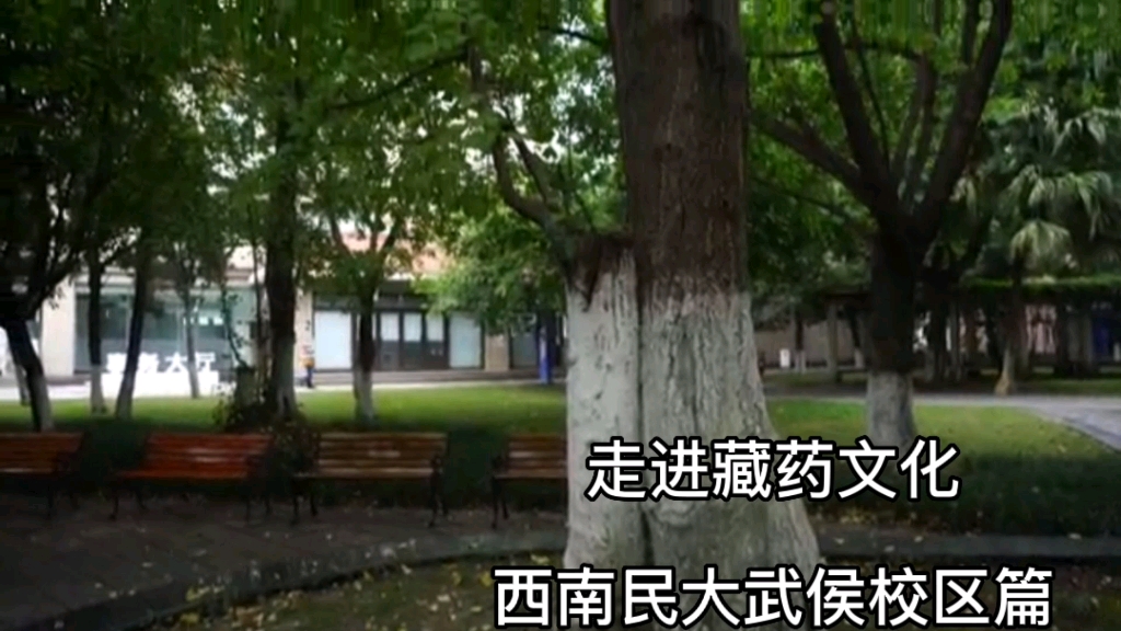 让我们一起走进民族博物馆