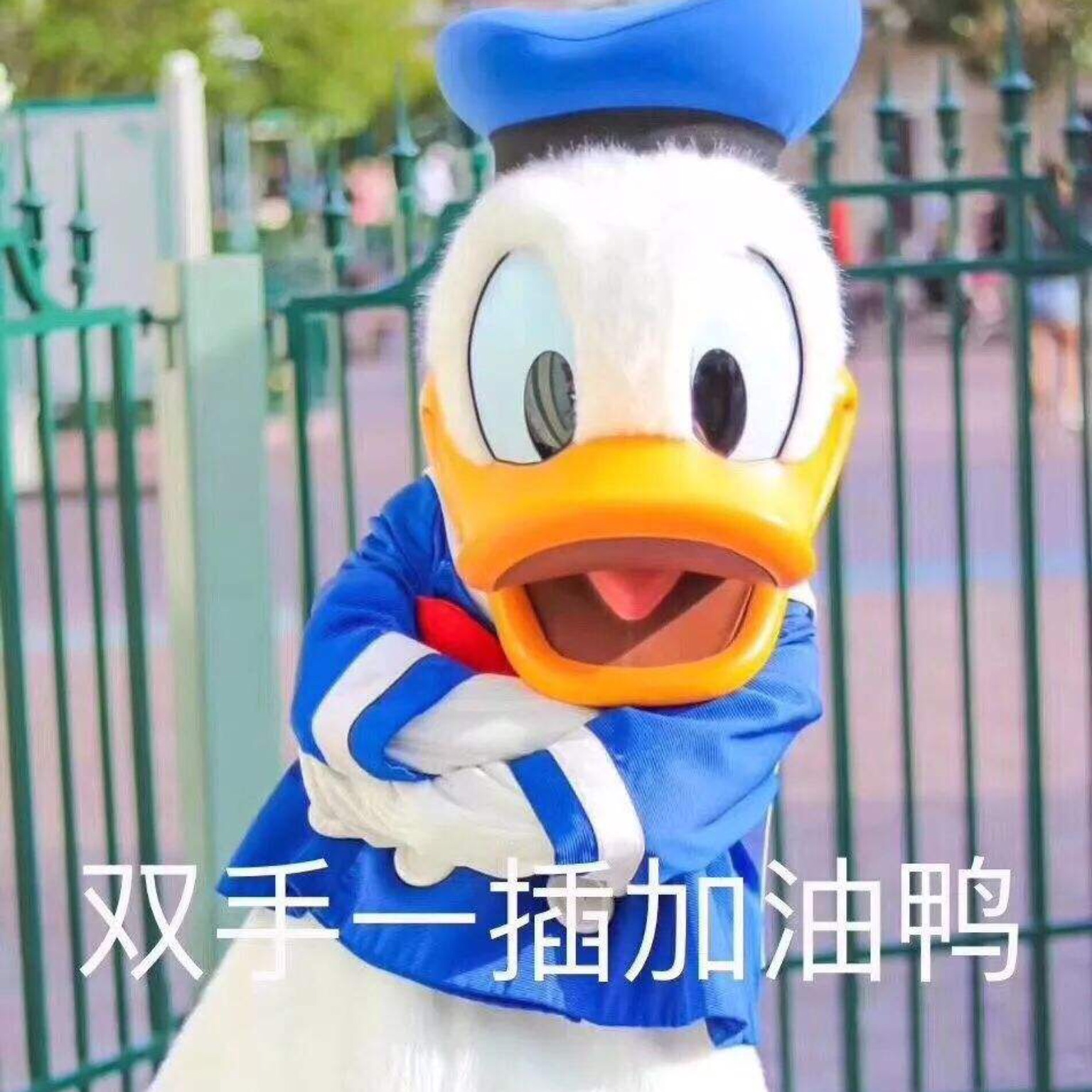 憨墩墩- 
