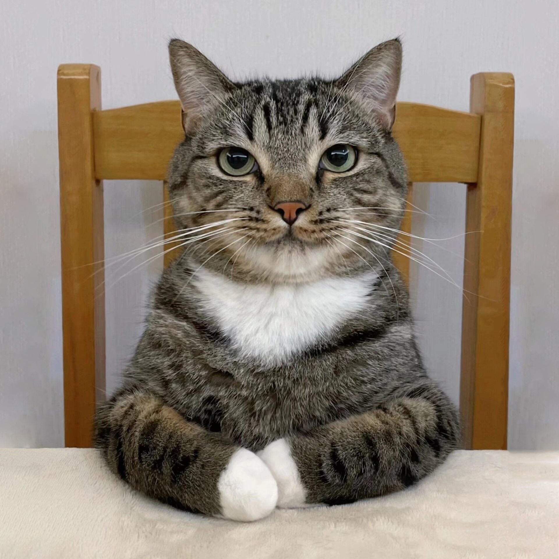 饮风咽沙无钱浪子 