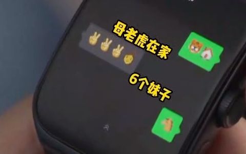 你不会还不知道 用手表就可以看到微信消息吧?