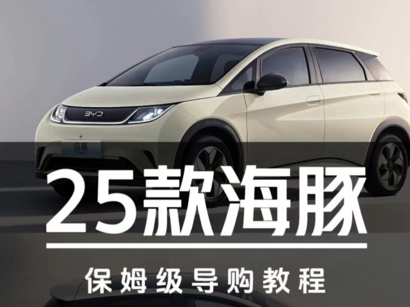 25款比亚迪海豚保姆级导购教程
