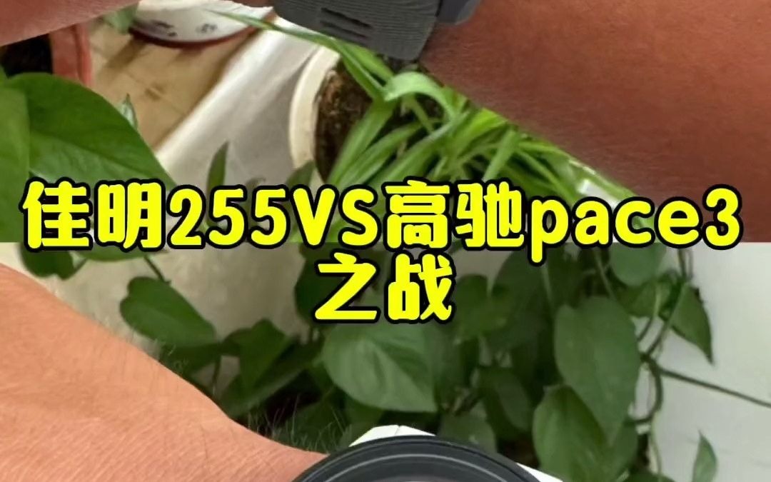 佳明255vs高驰pace3之战! 佳明255高驰pace3看完就知道你需要的是...