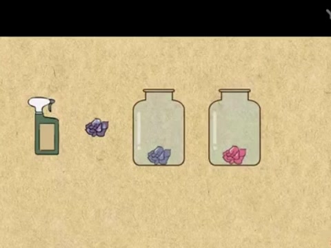 二氧化碳的化学性质