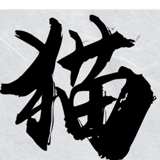 大猫音乐