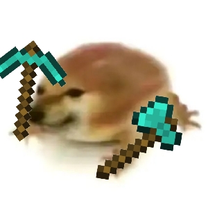陈皮22333 
