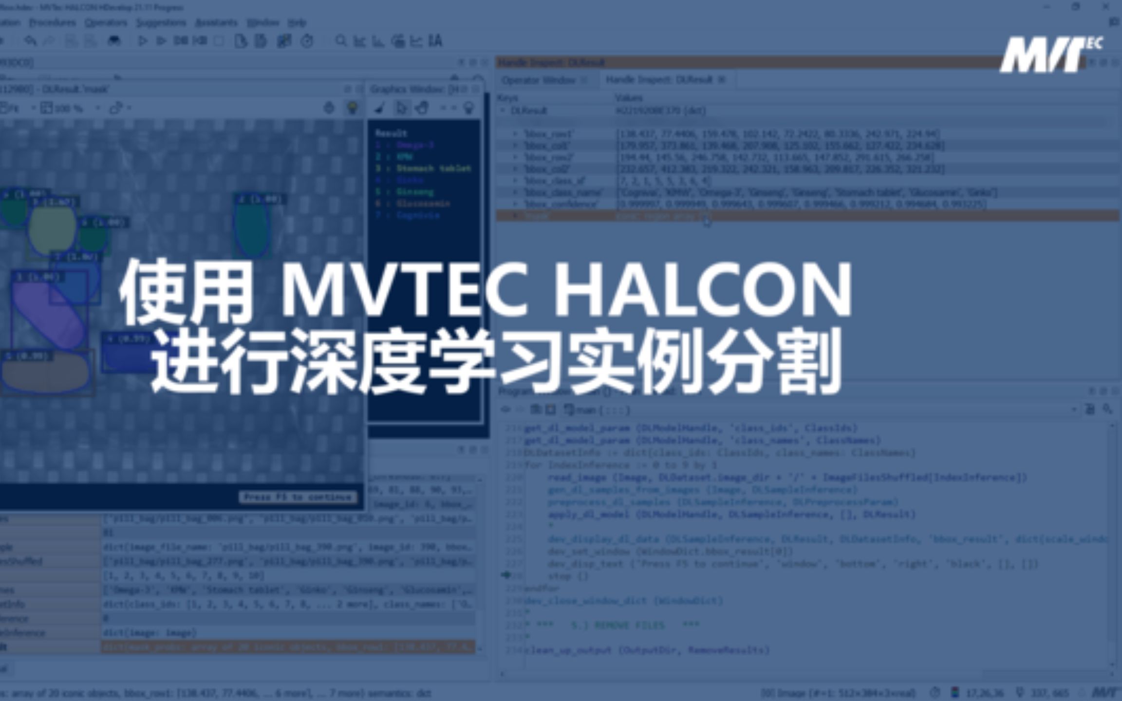 如何使用 HALCON 进行深度学习实例分割