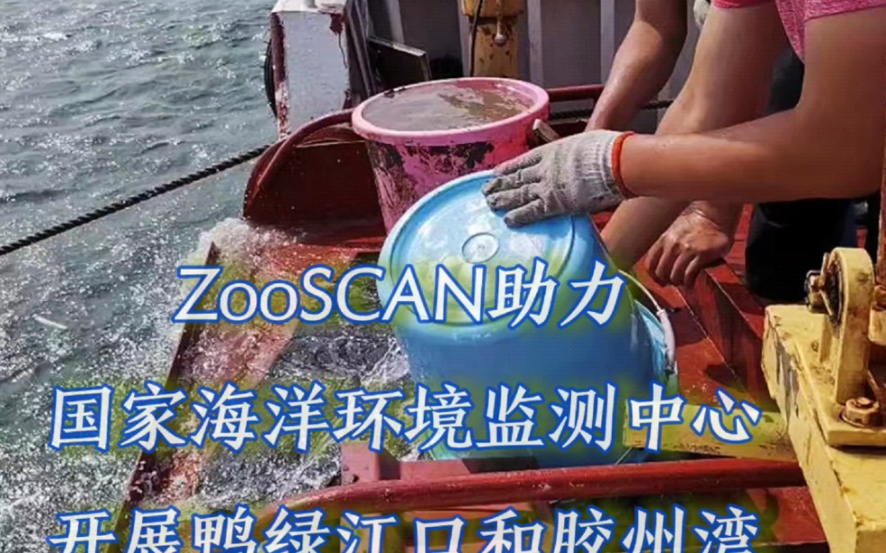 ZooSCAN助力国家海洋环境监测中心开展鸭绿江口和胶州湾浮游动物...