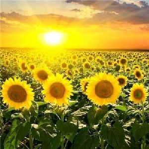 小云老师爱数学 