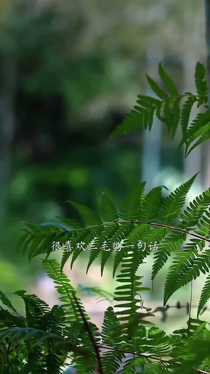不改世界改自己,自渡自愈藏锋芒