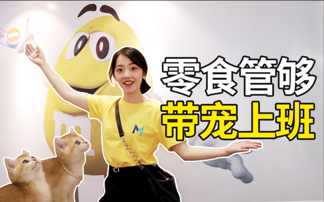 零食管够?带宠上班?做全球顶级快消公司的管培生是什么体验