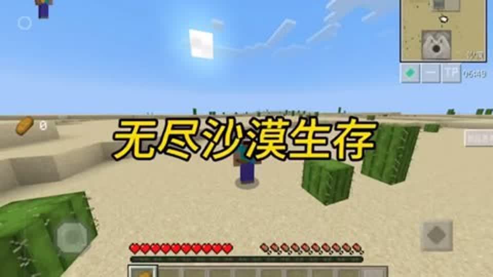 我的世界无尽沙漠生存#游戏