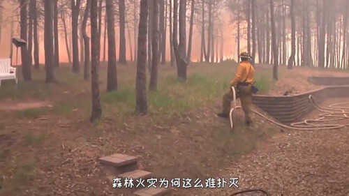 为什么森林火灾这么难扑灭,启动人工降雨有用吗?看完涨知识了!