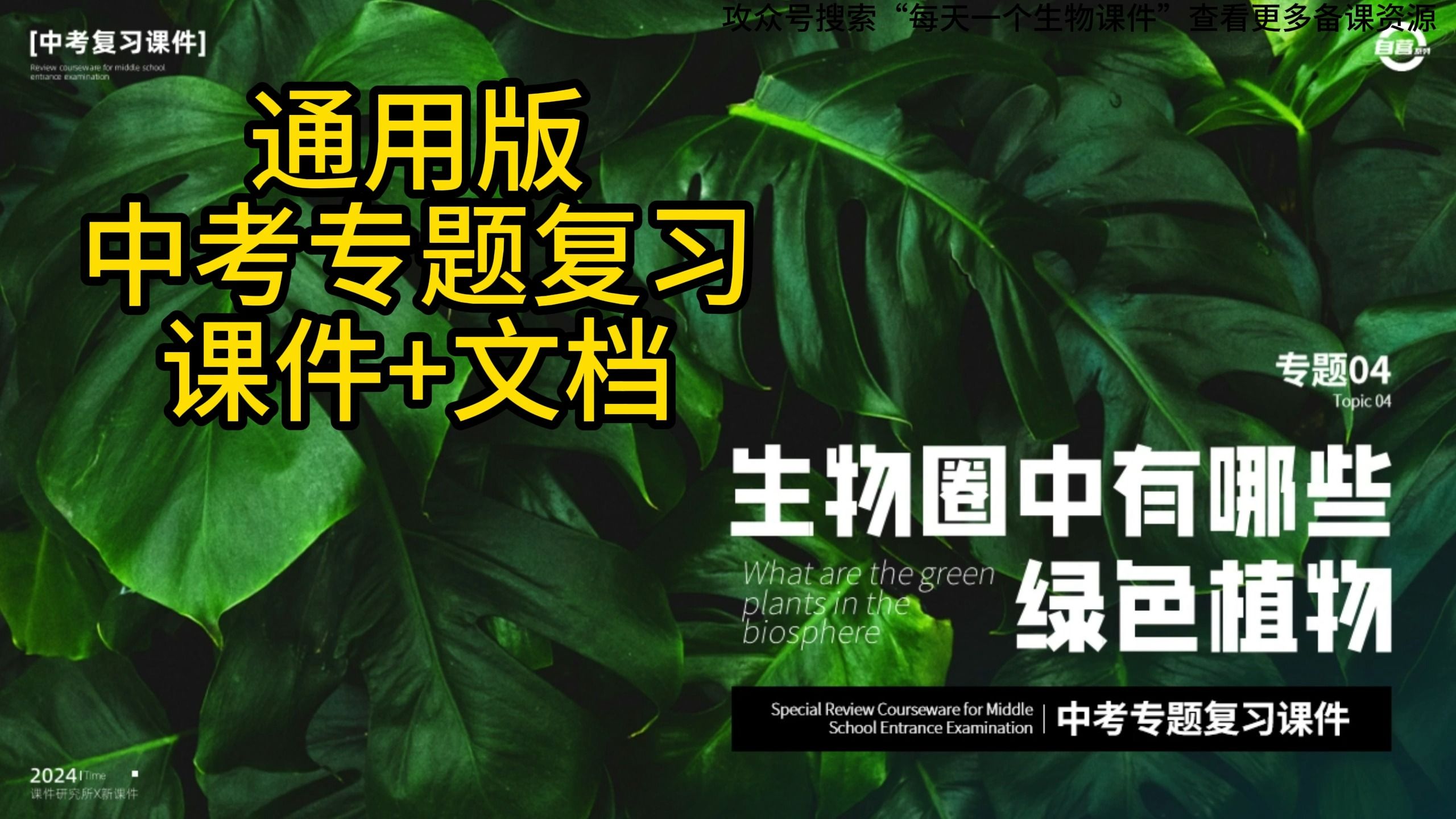 中考复习 生物圈中有哪些绿色植物_课件研究所