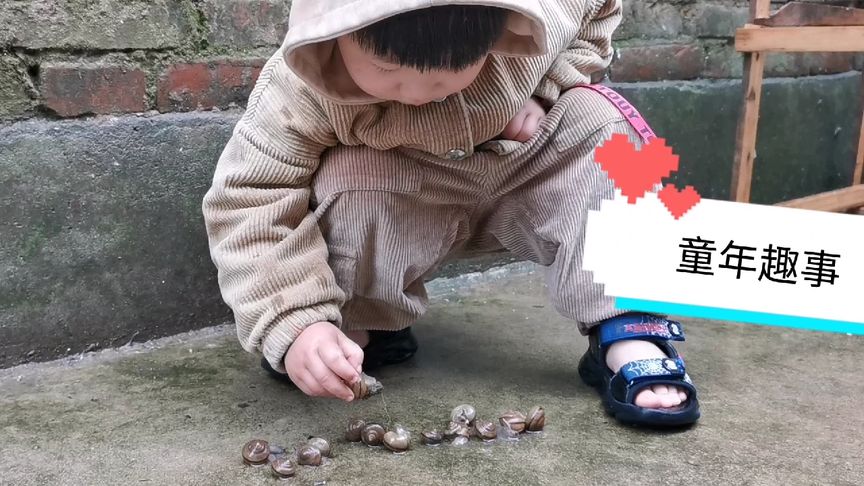 这种小动物就下雨天出来,被两岁宝宝发现了,玩起来不回家了