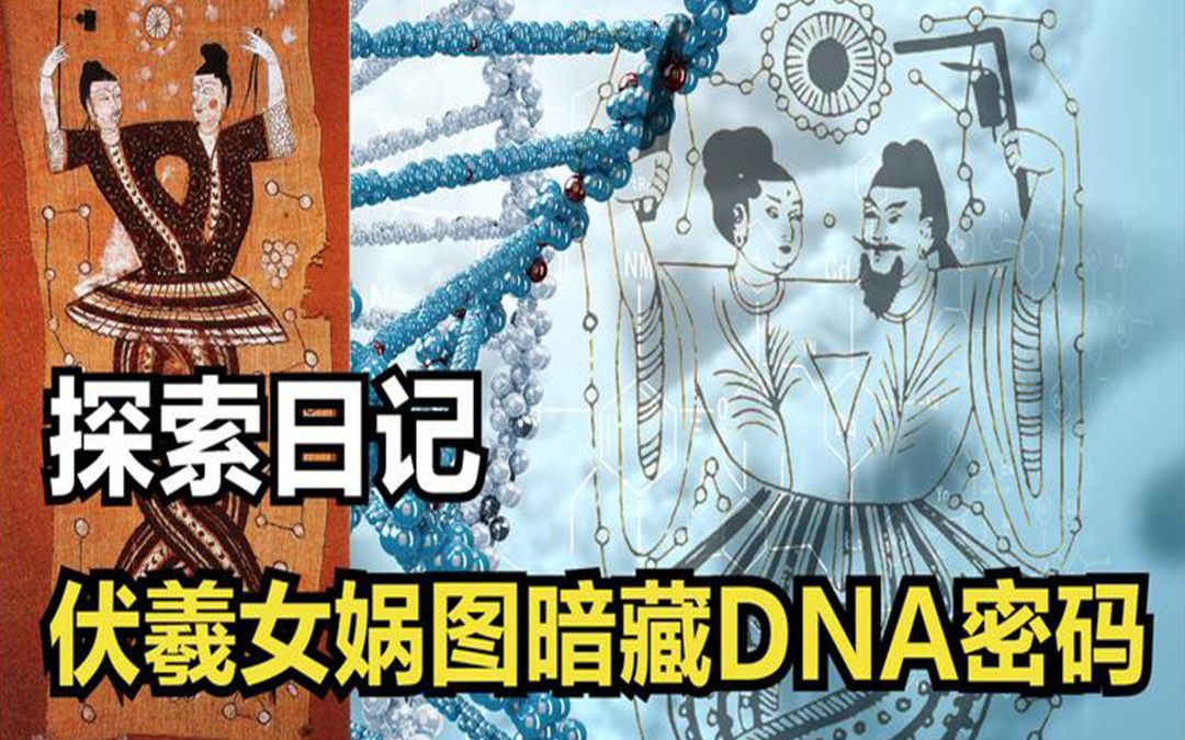 新疆挖出“伏羲女娲图”,一万多年前的古人已开始研究DNA?