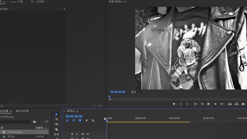 PR实操课程,教大家如何制作精美的唱片效果