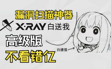 【Xray教程】新手挖洞神器Xray安装&使用教程(附安装包)网络安全 | ...