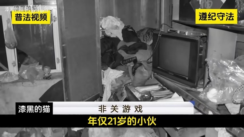 大案要案纪实解说