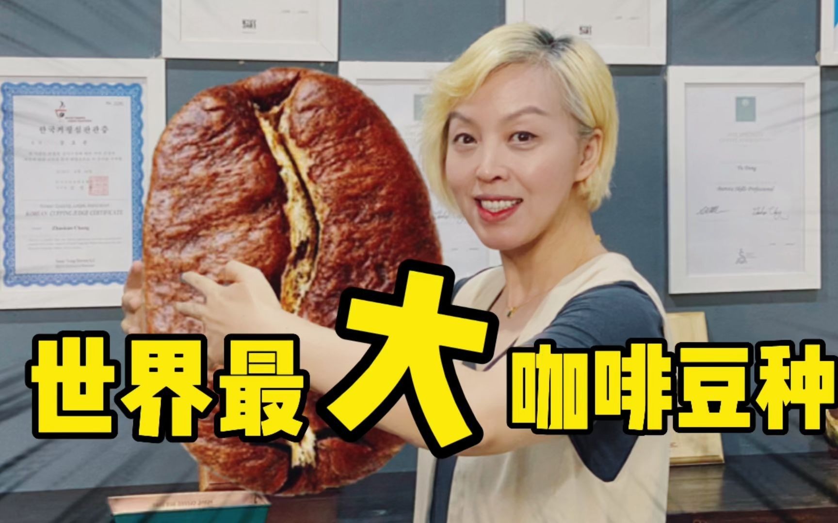 秒懂咖啡Vol.40 | 世界上最大咖啡豆种,长啥样?