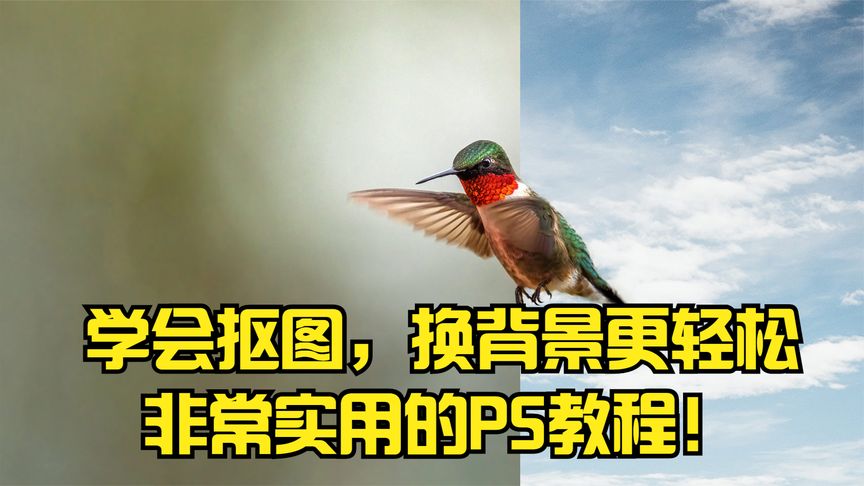 学会抠图,换背景更轻松,非常实用的PS教程!