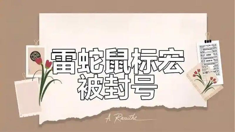 梦幻西游雷蛇鼠标宏误封事件:宝宝锁定与交易风险