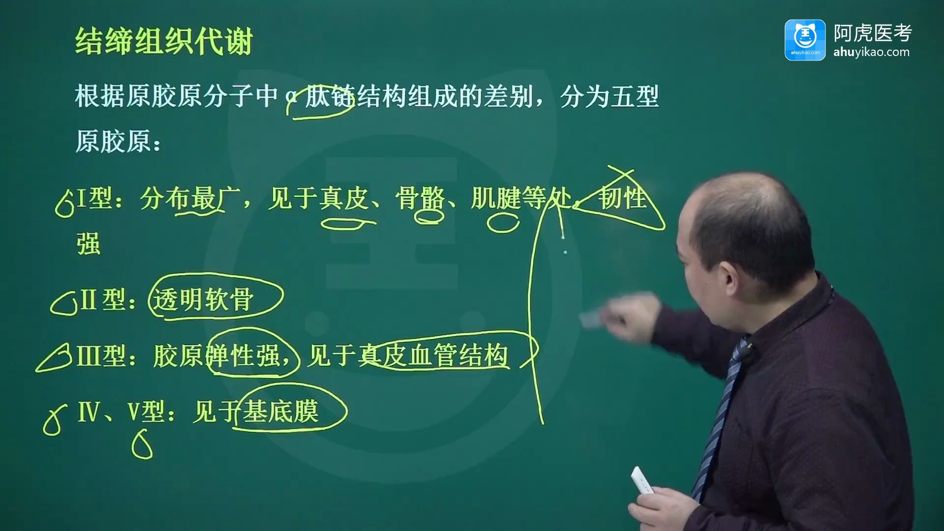 皮肤病与性病学专业--第15、16、17章、皮肤脂质的代谢、黑素代谢、...
