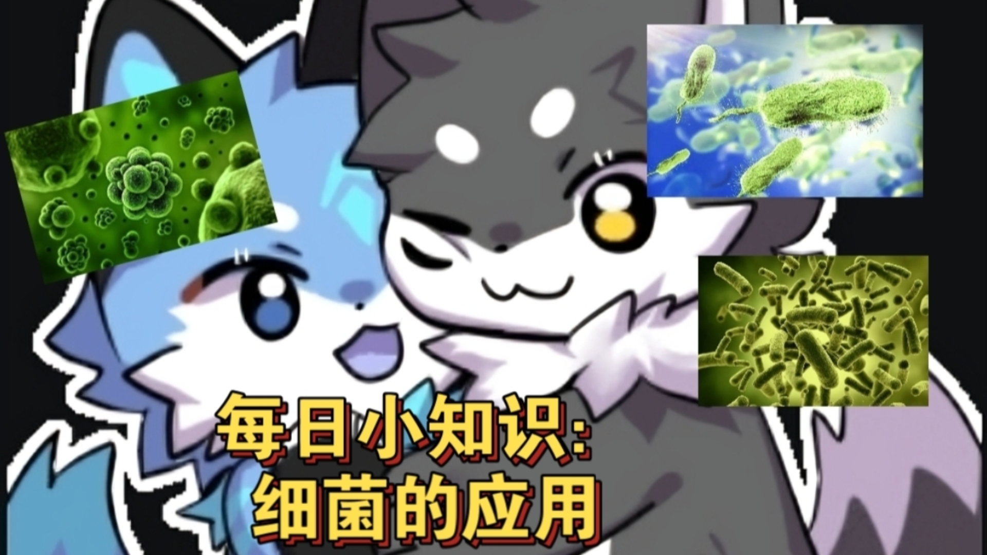 每日小知识:细菌的应用(加更版)
