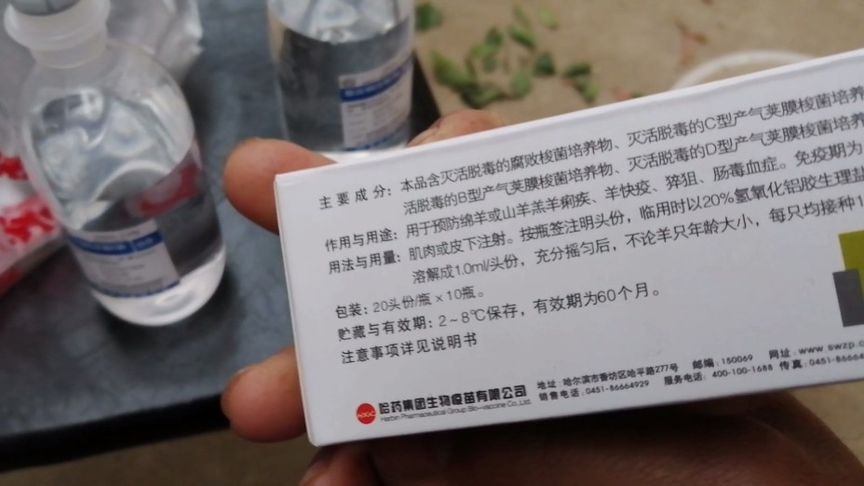今天给羊打疫苗,养羊的朋友你们这种疫苗一年打几次?