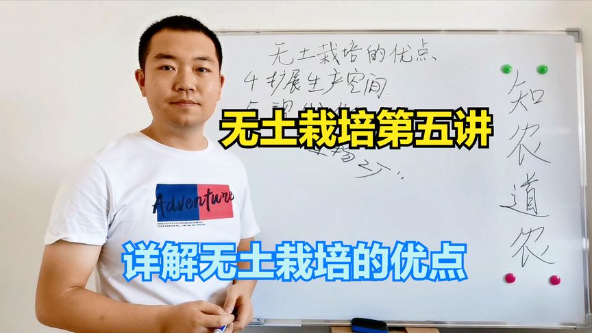 详解无土栽培的优点,将无土栽培技术发挥到极致