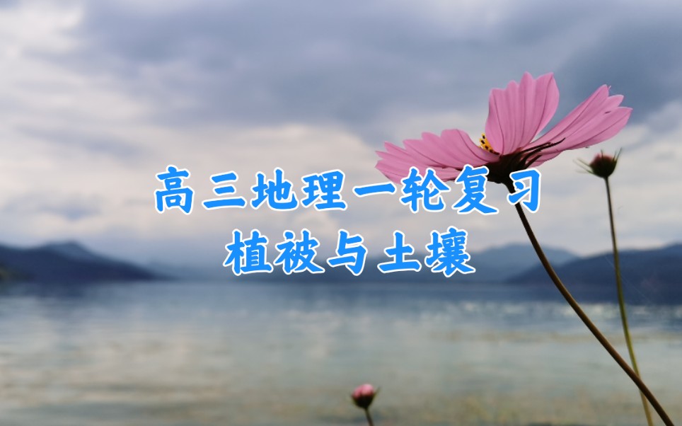 葱老师地理课 高三地理一轮复习 原生态课堂 植被与土壤