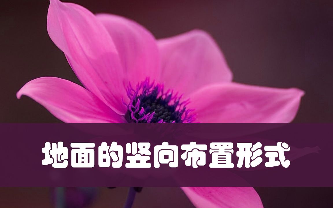 地面的竖向布置形式