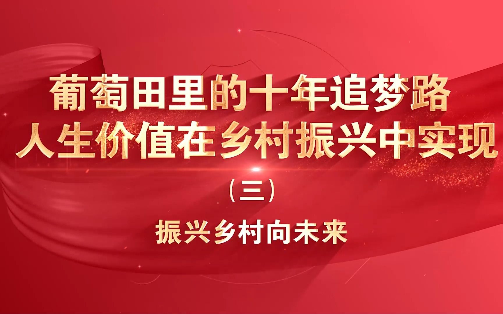 ...展示——《葡萄田里的十年追梦路:人生价值在乡村振兴中实现》(三)