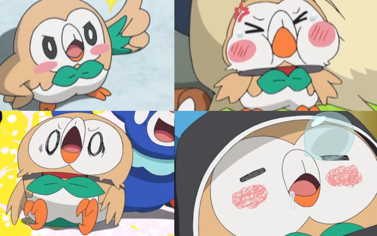 日月动画超可爱的卖萌担当和瞌睡大王!小智的木木枭全回顾