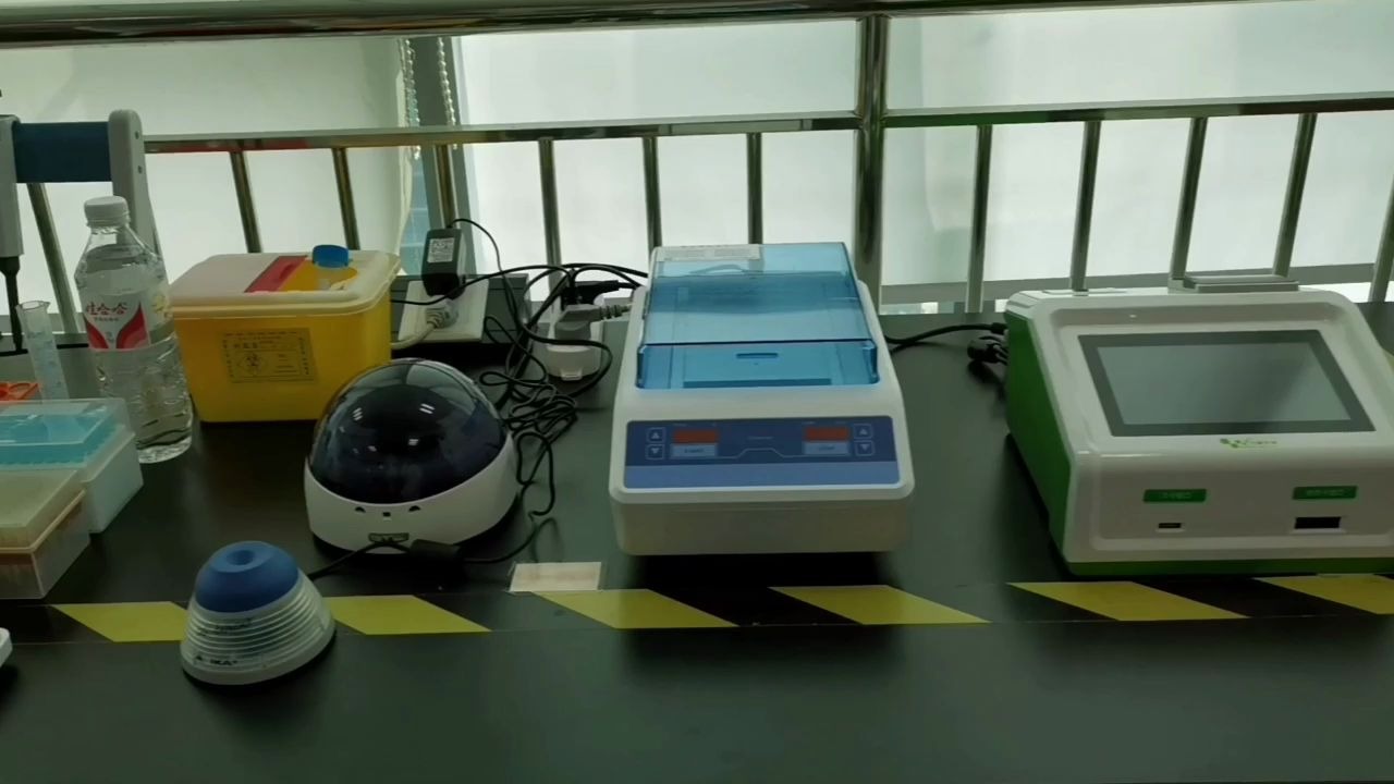 粮食谷物中呕吐毒素荧光定量快速检测操作视频|飞测生物