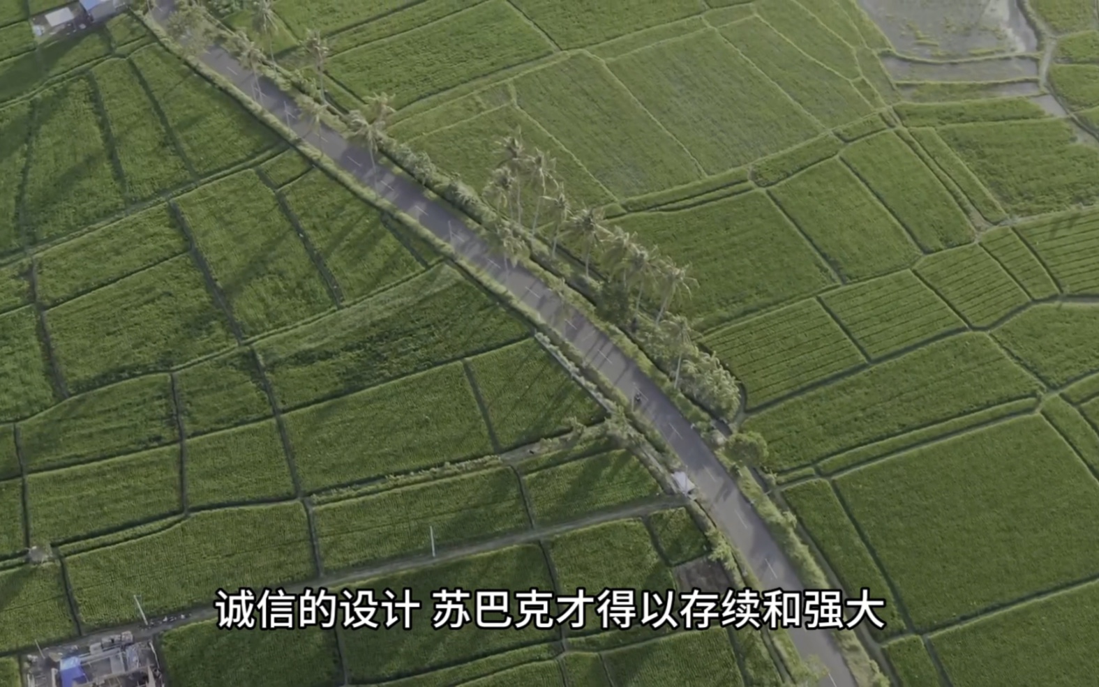 巴厘岛的另一道风景—苏巴克(Subak)