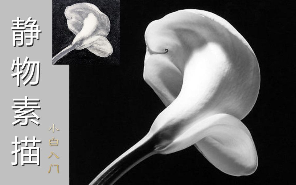 容易上手的简易素描绘画教学。