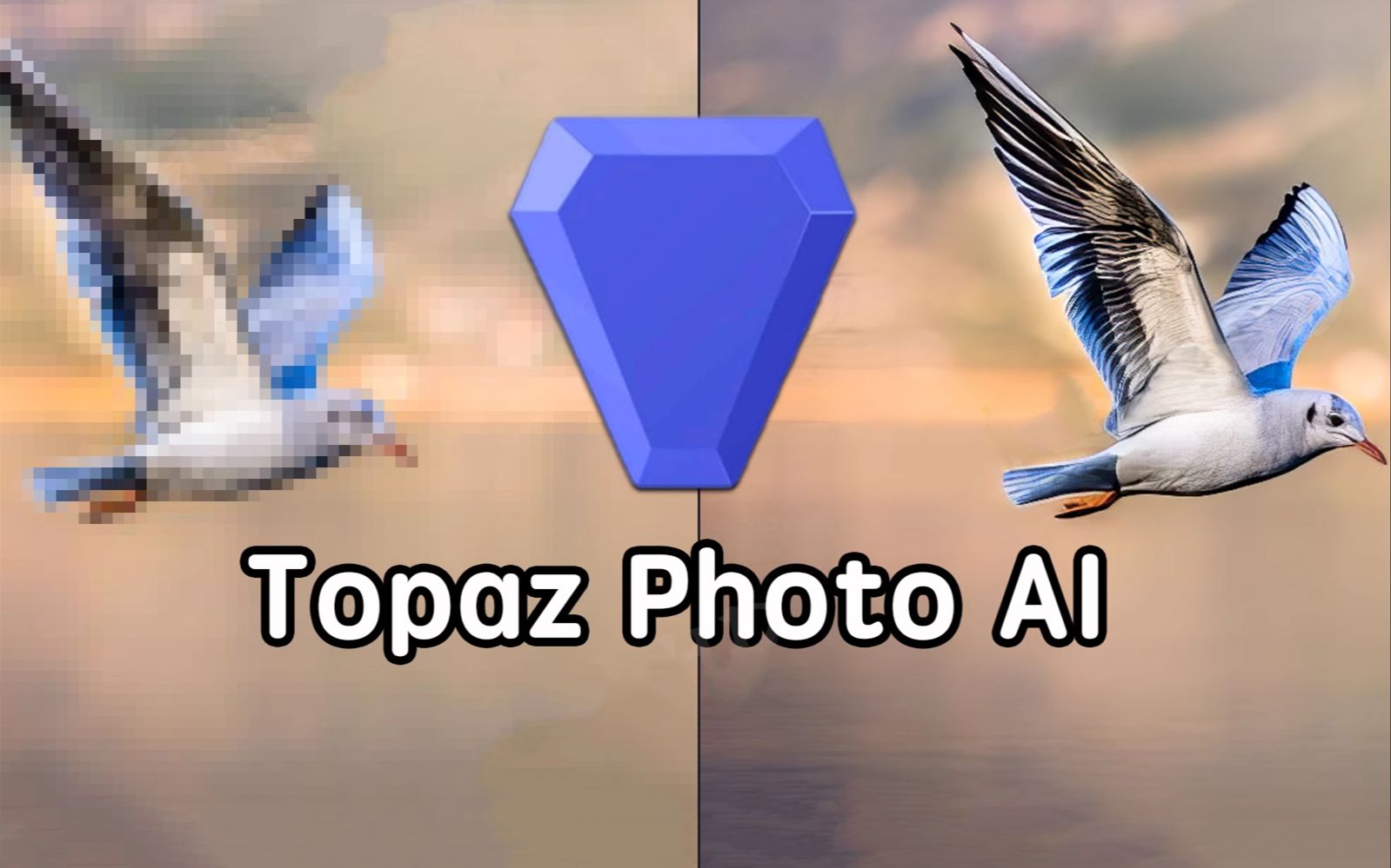 ...版!Topaz Photo AI 1.3.12 中文汉化版!图片模糊放大修复/锐化/降噪软件