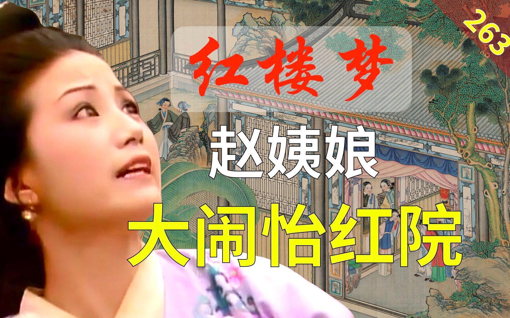 【263】怎么把自己活成笑话?赵姨娘演示给你看! 红楼梦60回叁