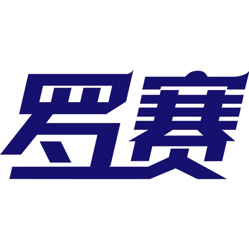 上海罗赛智能李洪亮 