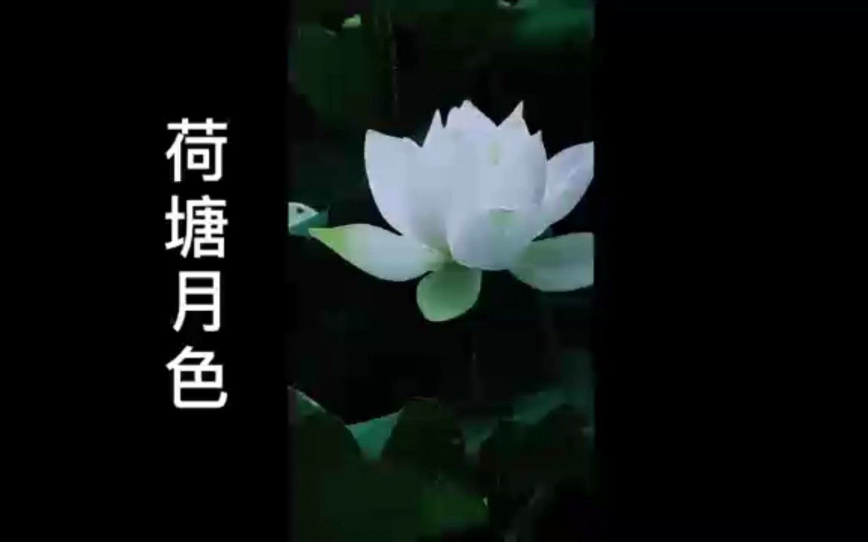 朗读《荷塘月色》。
