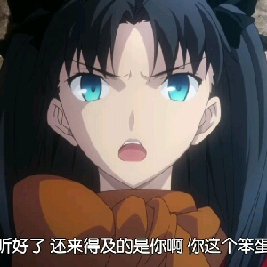 海棠胜梨花 