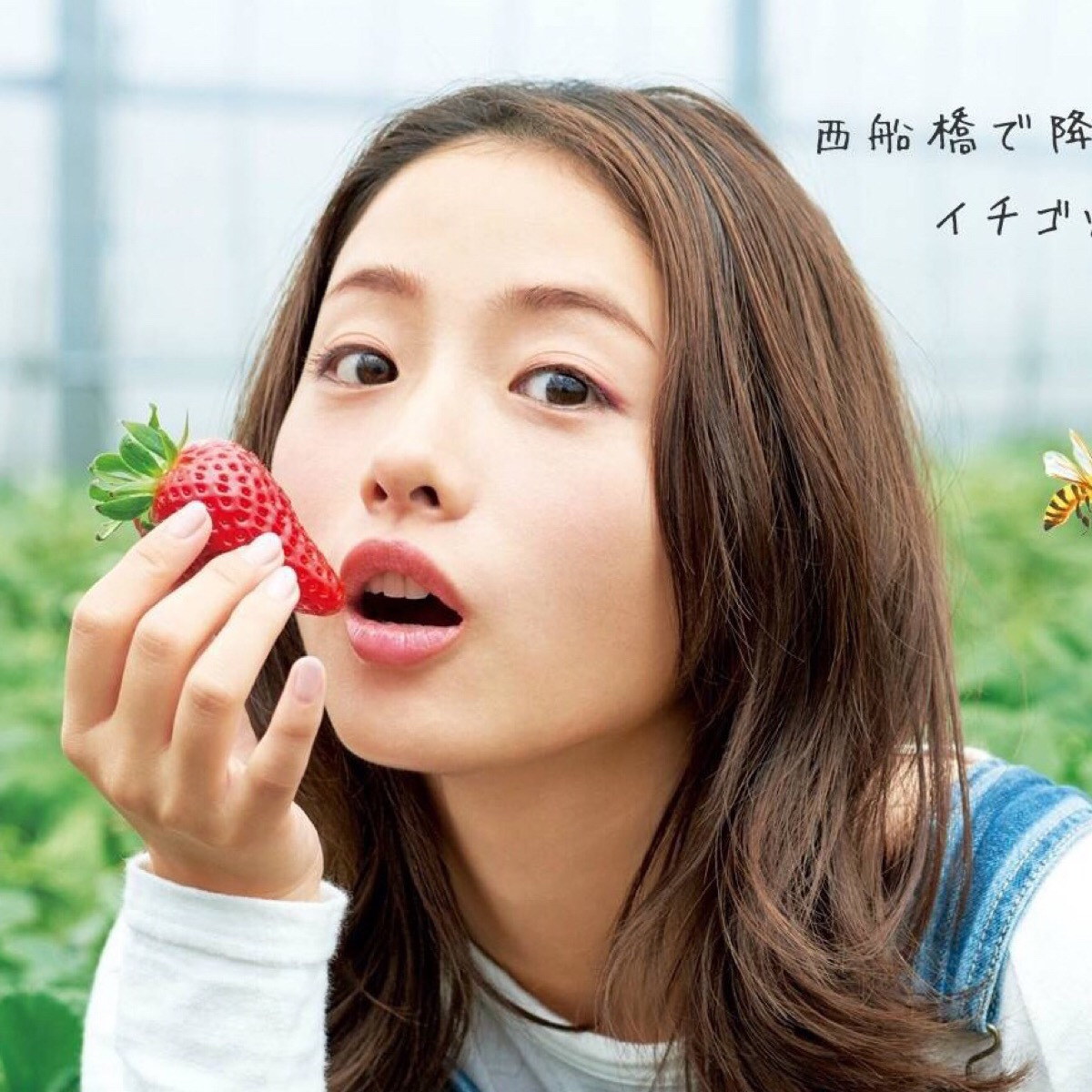 滴水滴调 