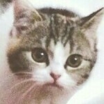 说噻话的哥布林 