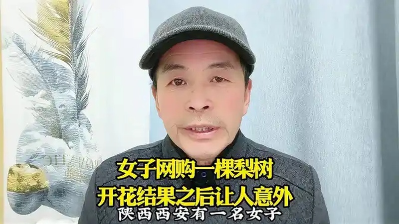 女子网购一棵梨树开花结果之后让人意外