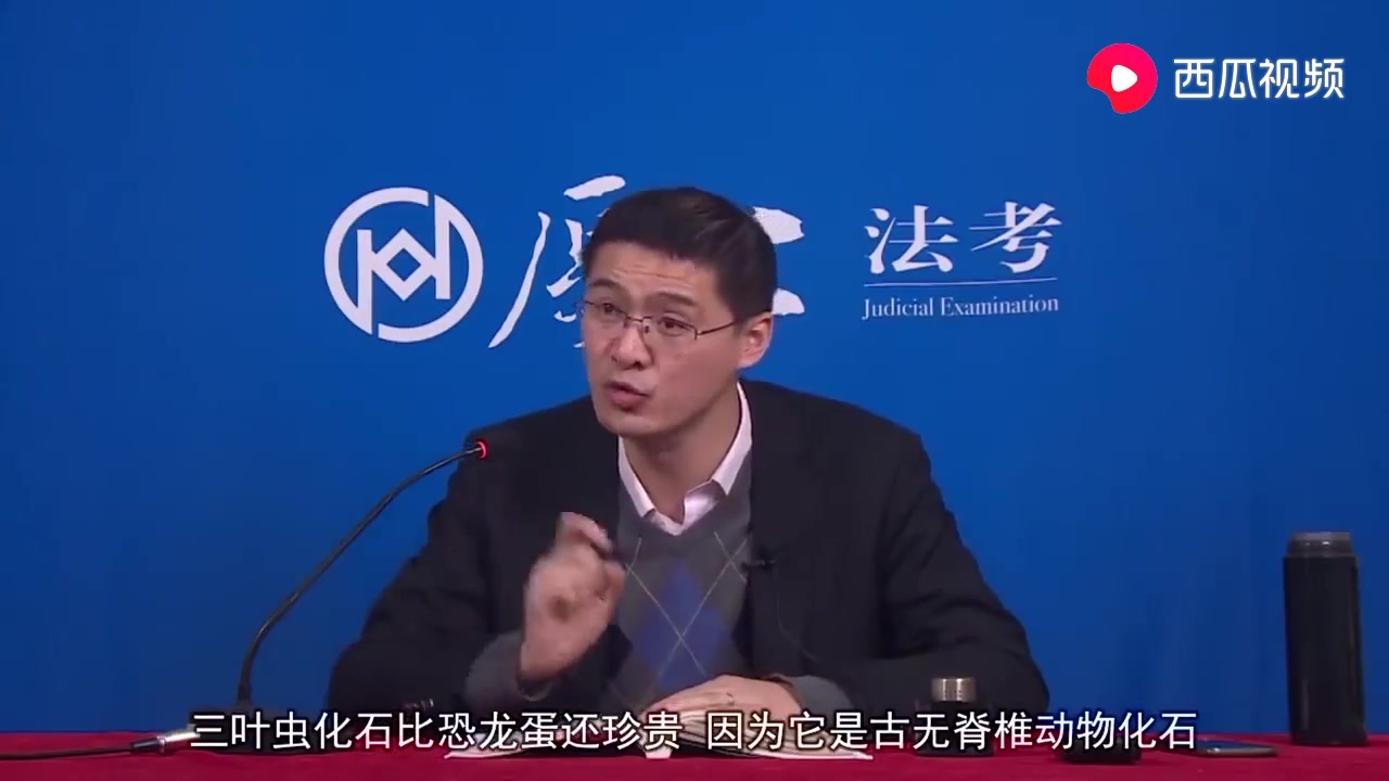 【罗翔】这个罪不能定?不要慌,总有一个罪适合你