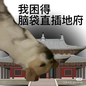 起名而已-不难 