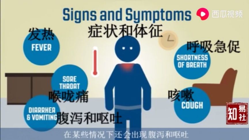 3D医学动画:冠状病毒的传染途径,症状和有效防治!