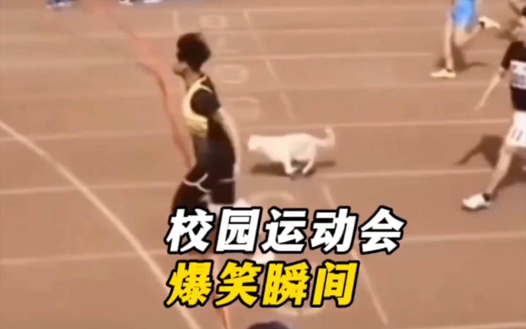 盘点校园运动会搞笑瞬间