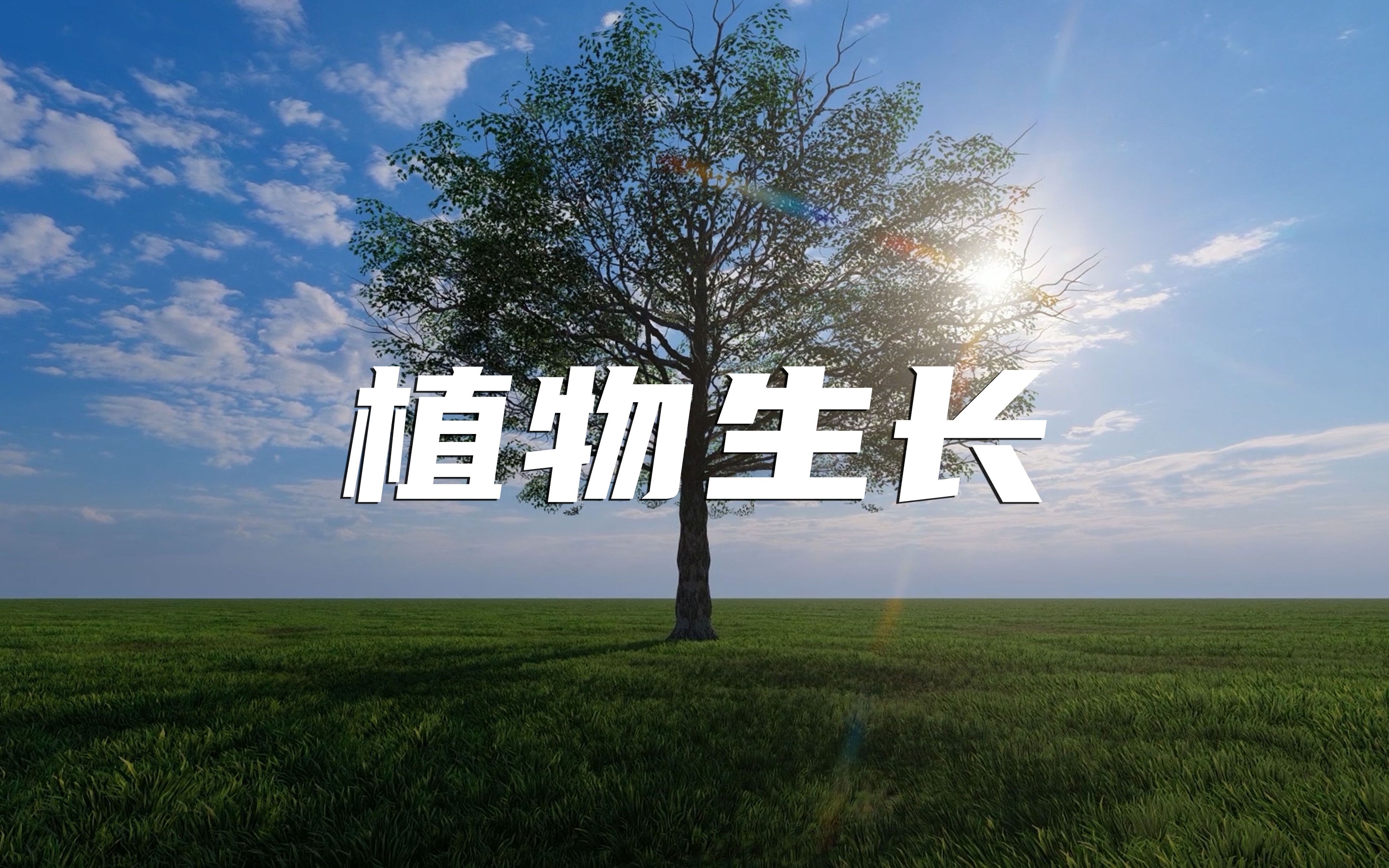 植树节大树生长动画视频素材【VJshi视频素材】